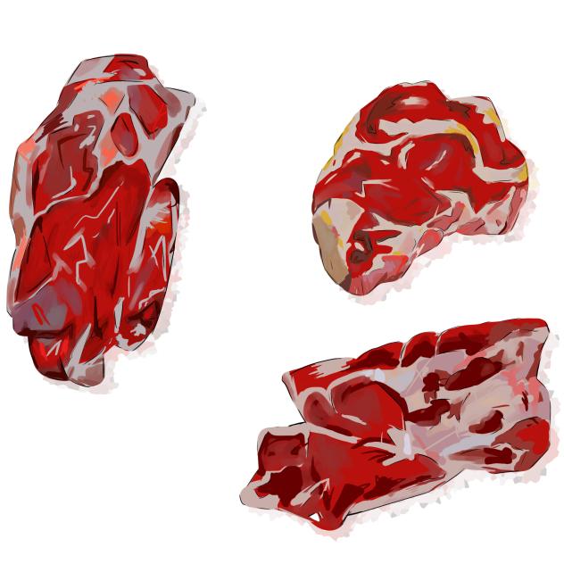 Meat - ibisPaint