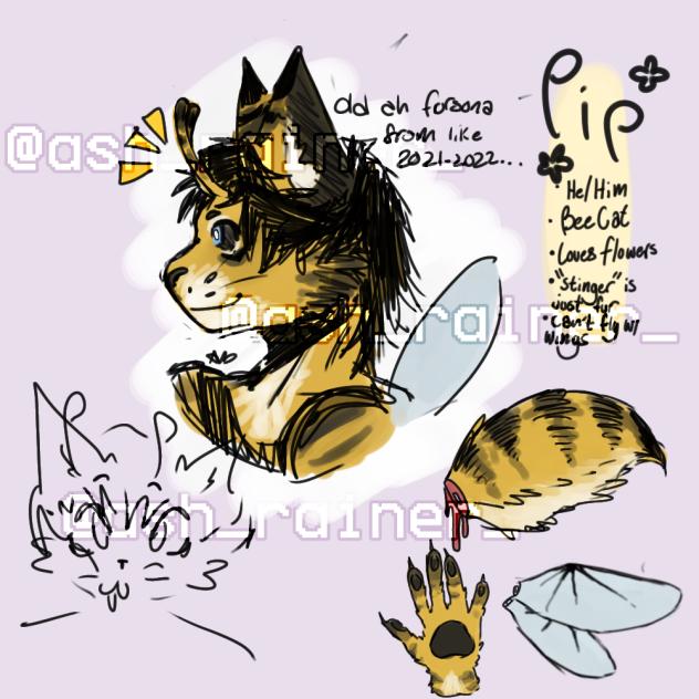 BeeCat fursona - ibisPaint