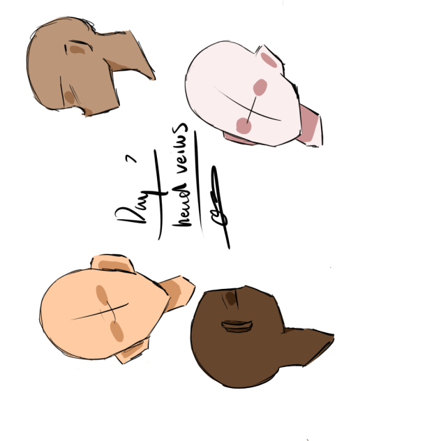 -day 7-head views- - ibisPaint