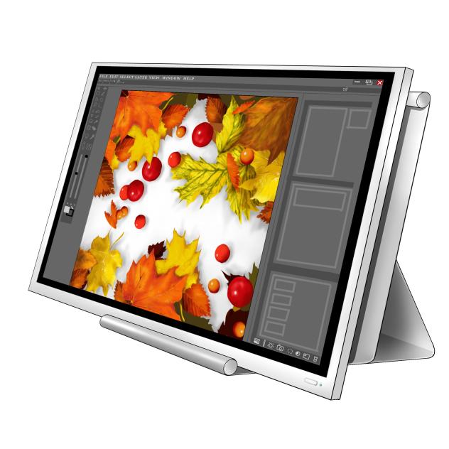 display monitor - ibisPaint