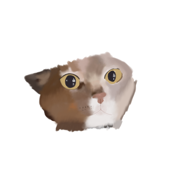 unfinished cat drawing - ibisPaint