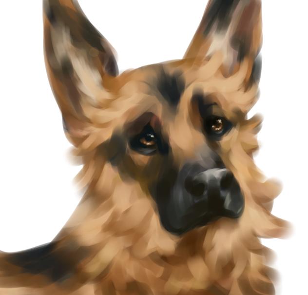 German Shepherd 🐕‍🦺 - ibisPaint