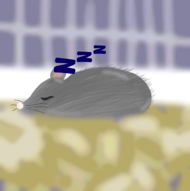 YOUR PET RAT - ibisPaint