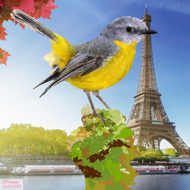A Bird in Paris - ibisPaint