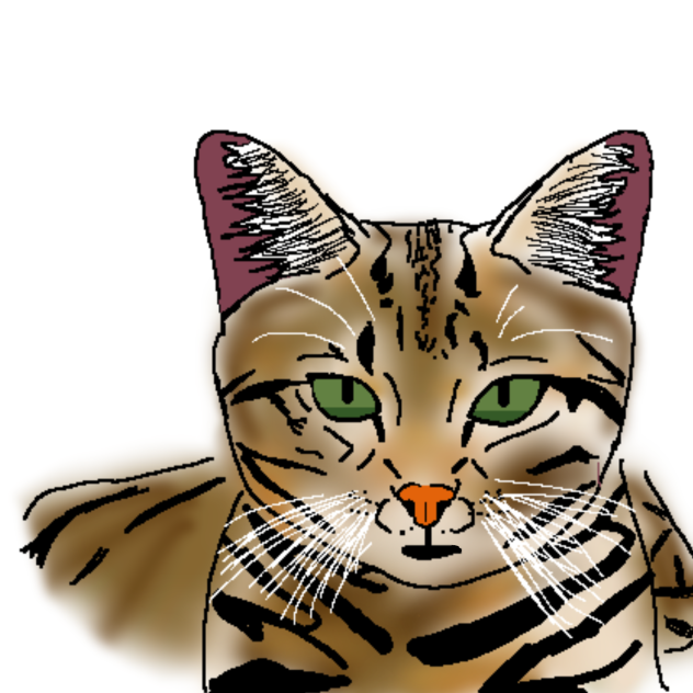 kinda realistic cat - ibisPaint