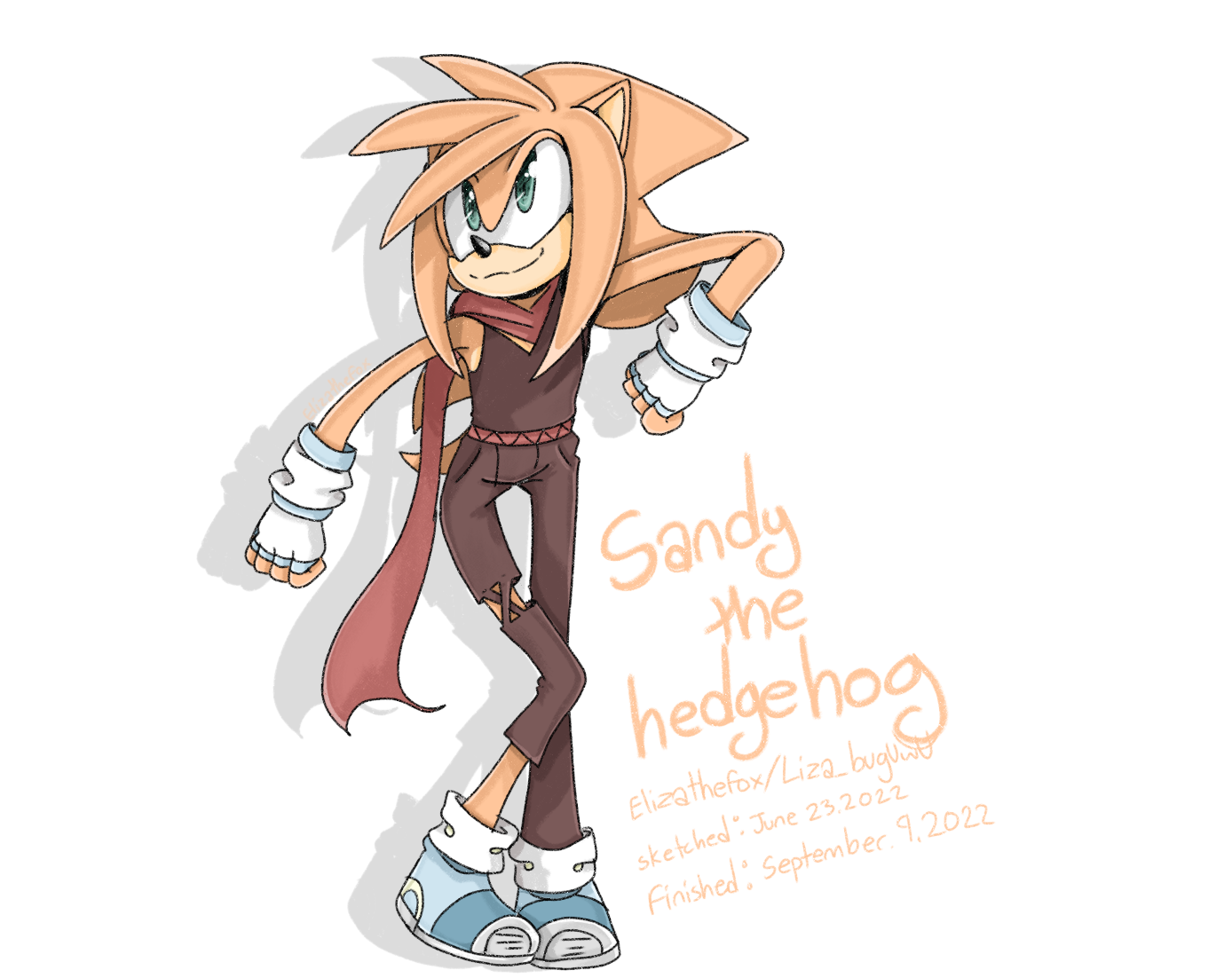 Sandy the hedgehog [sonic oc] - ibisPaint