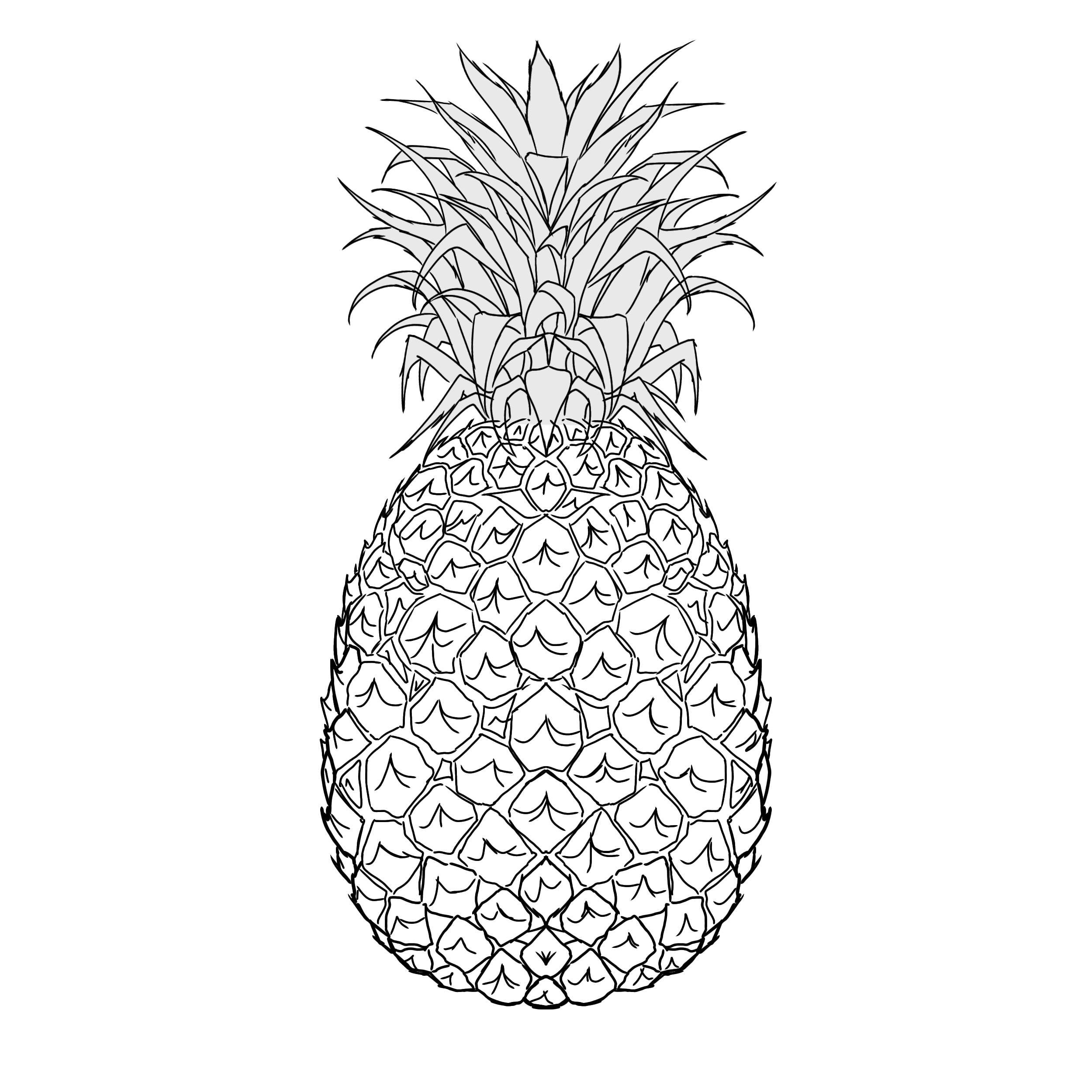 pineapple 🍍 - ibisPaint