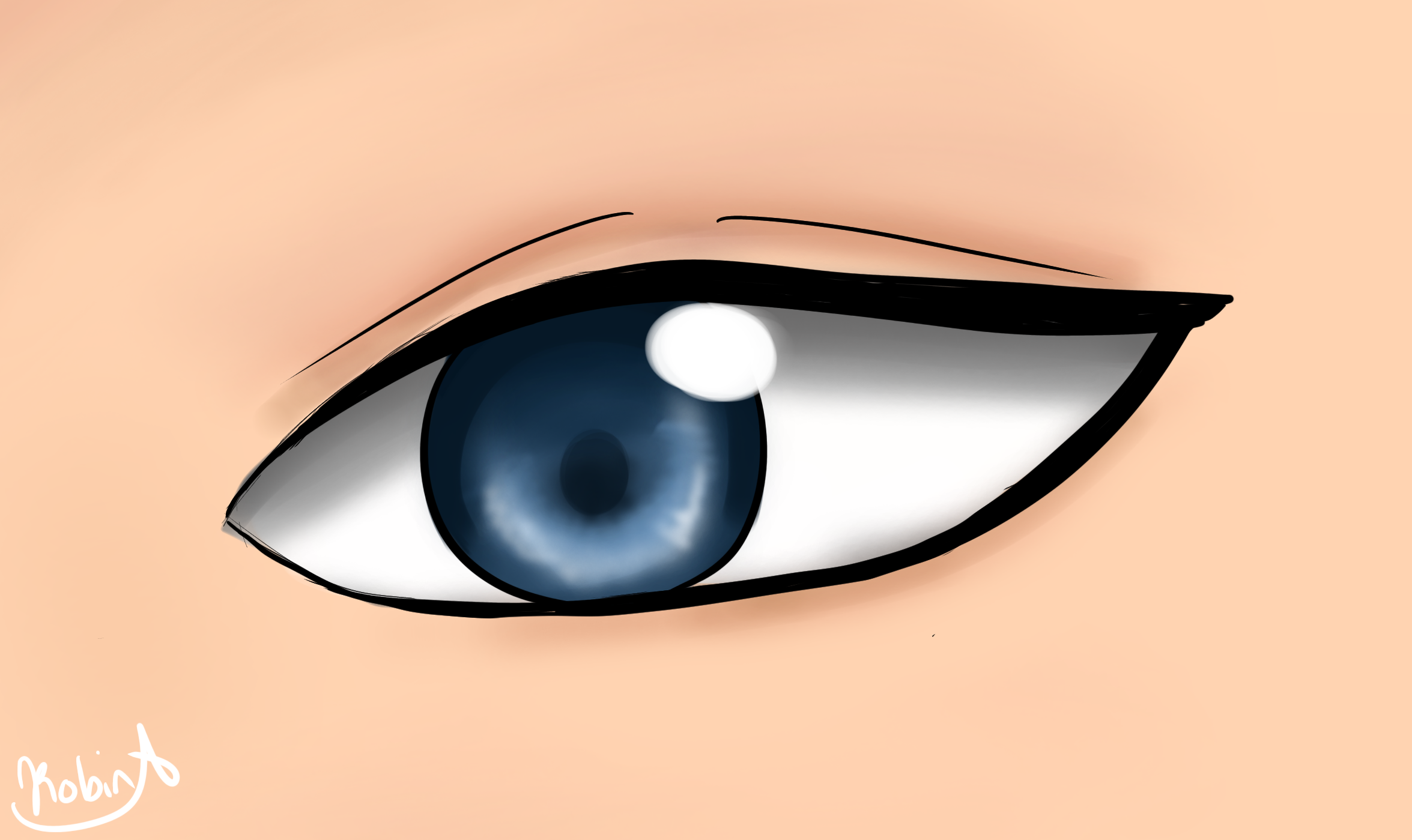 Eye Style Practice P4 - ibisPaint