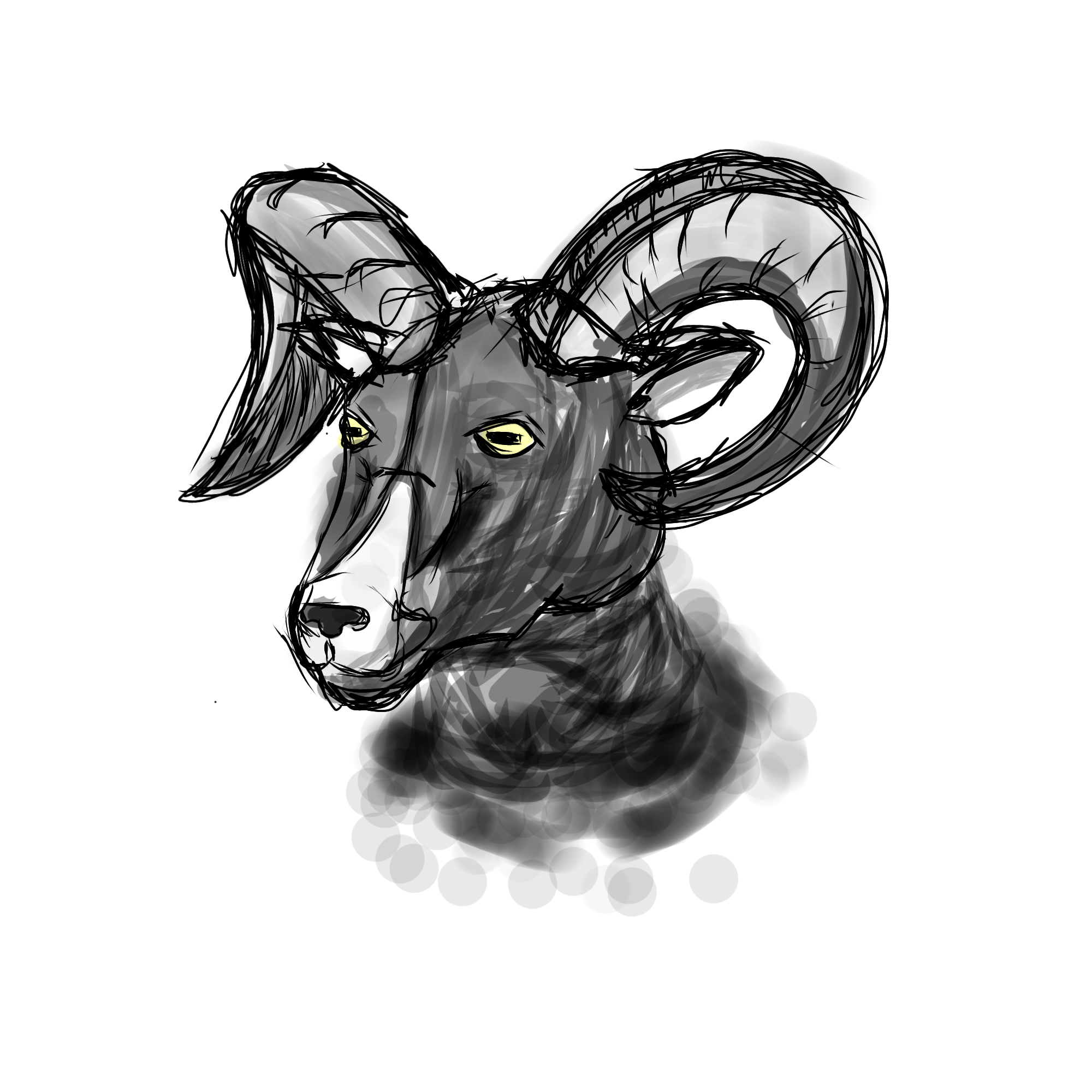 ram - ibisPaint