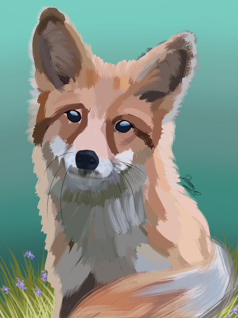 Fox - ibisPaint