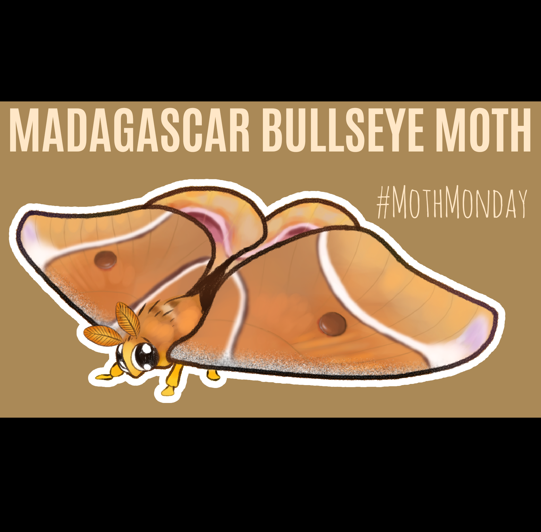 Moth Monday #11 - ibisPaint