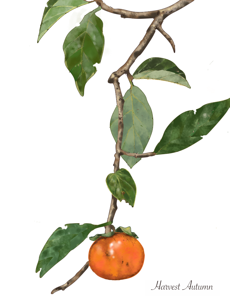 無題683 - ibisPaint