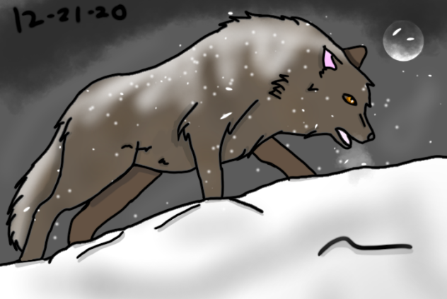 Winter wolf - ibisPaint