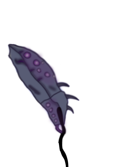 Tail Uzi - ibisPaint