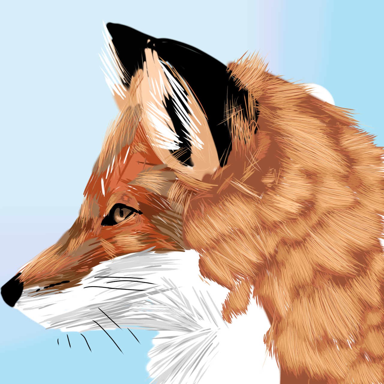 realistic fox - ibisPaint