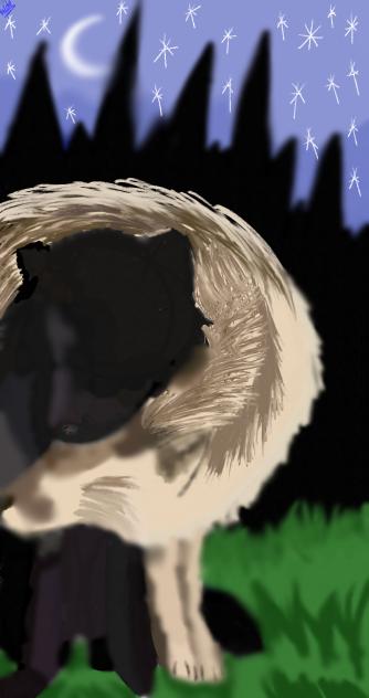 Wolves 🐺 - ibisPaint