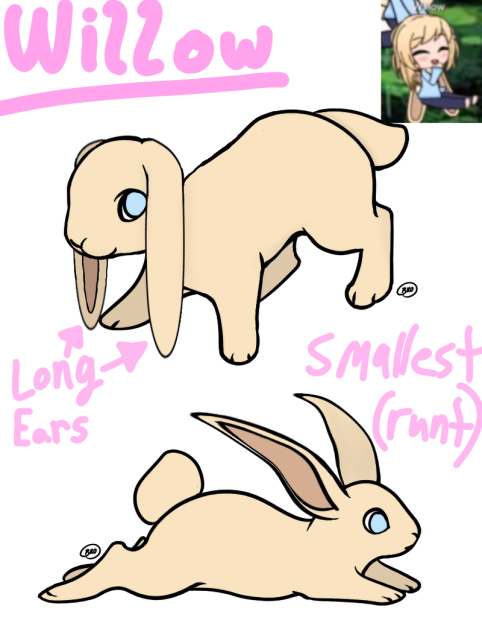 Willow 🐰 - ibisPaint