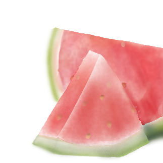 Water melon - ibisPaint