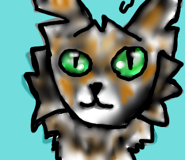 No torticeshell toms - ibisPaint