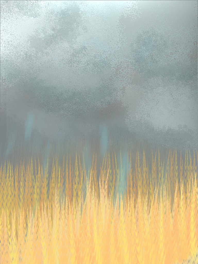 Rain on a wheat field - ibisPaint
