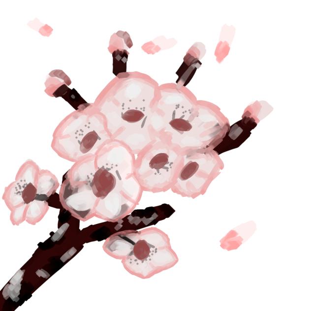 Japanese cherry blossoms - ibisPaint