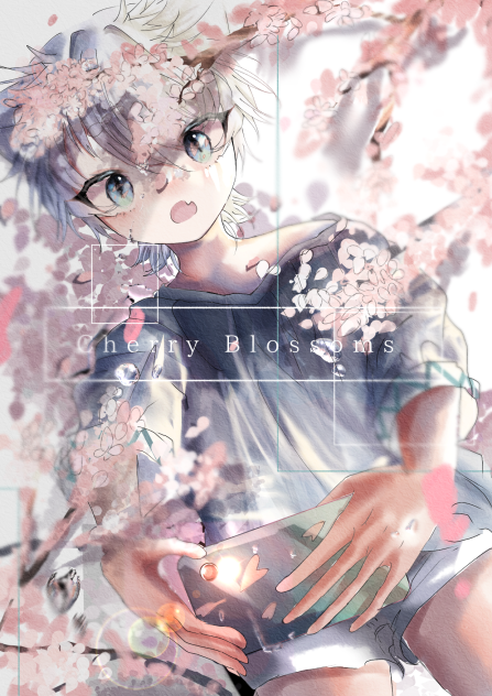Cherry Blossoms - ibisPaint