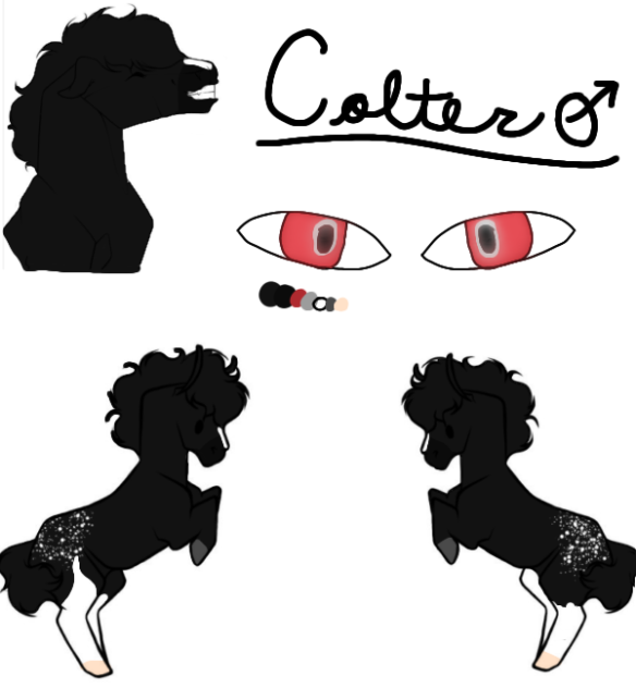 Colter - Reference sheet - ibisPaint