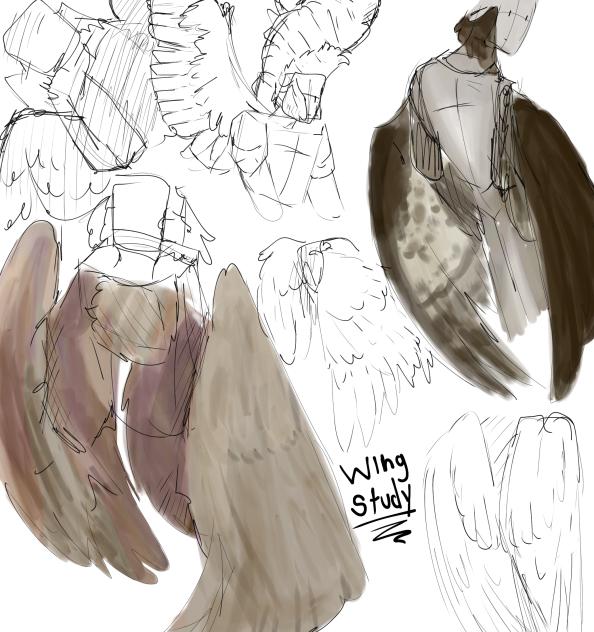Wings - ibisPaint