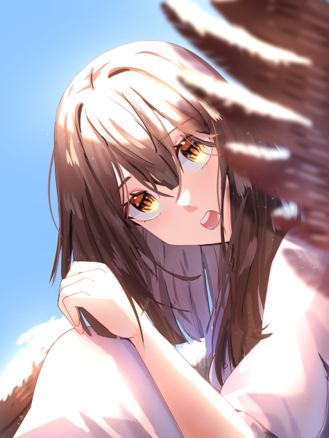 Steller's sea eagle 虎头海雕 - ibisPaint