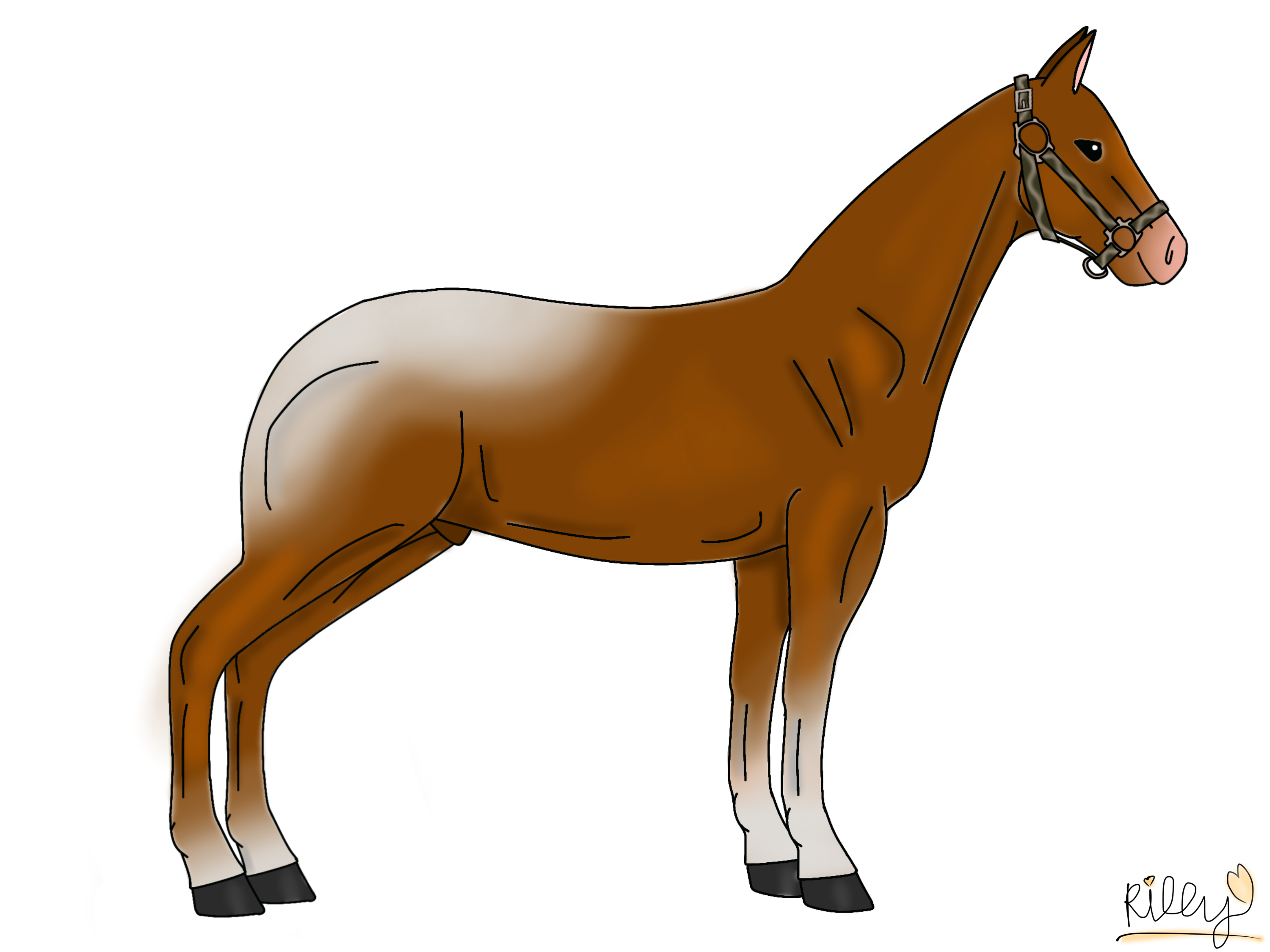 brownish greenish halter 🪵 - ibisPaint