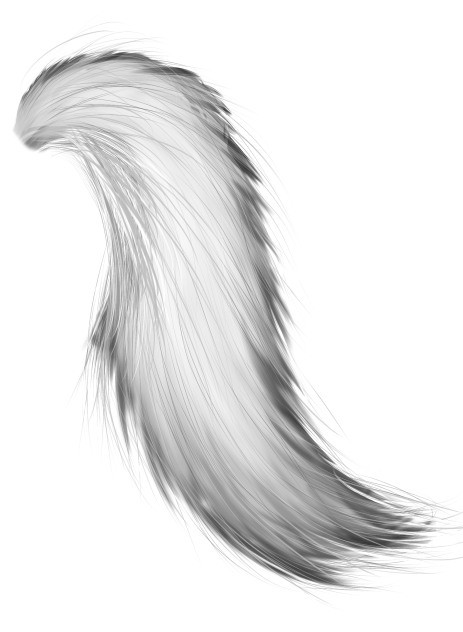 Realistic tail - ibisPaint