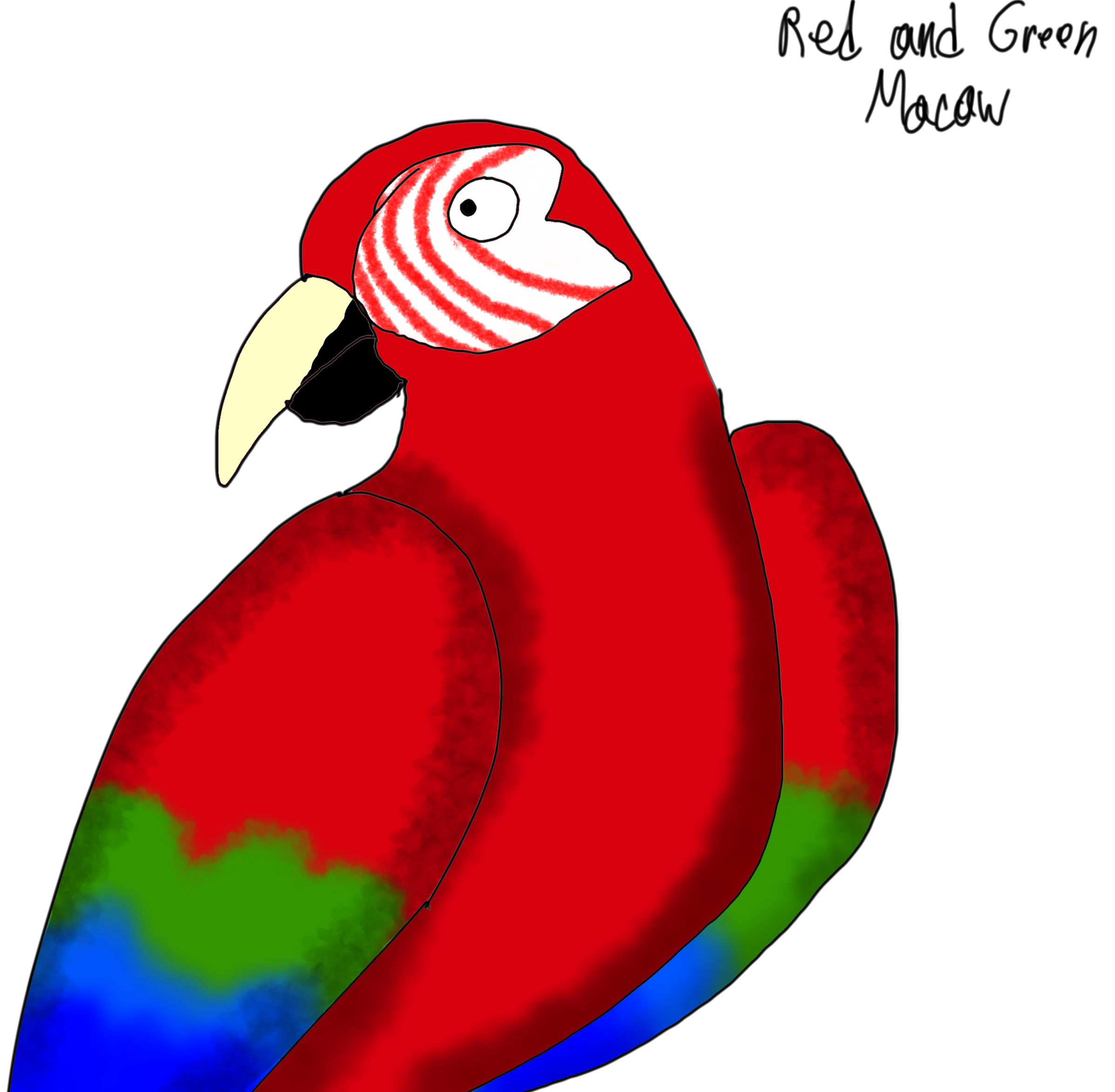 Red and Green Macaw - ibisPaint