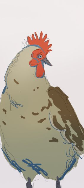 chicken - ibisPaint