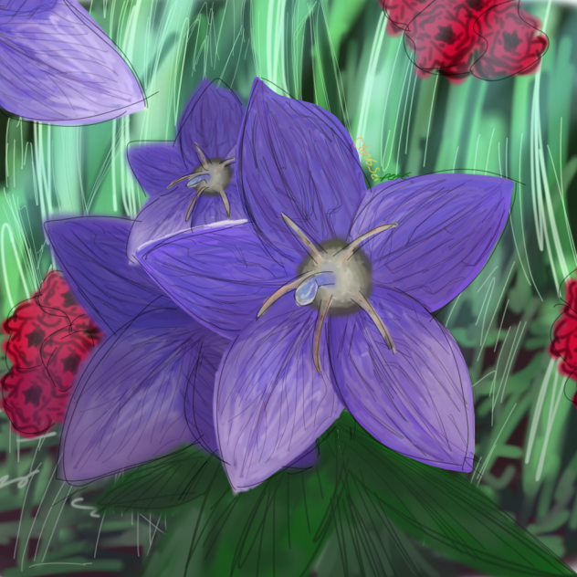 Flowers - ibisPaint