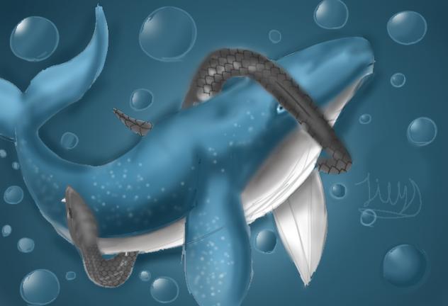 Just a whale or is it♪☆♪☆ - ibisPaint