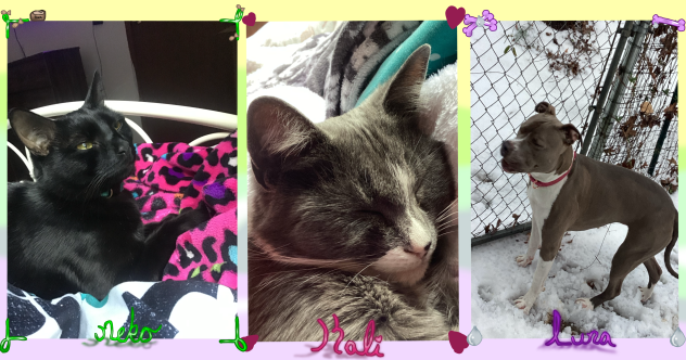 Pets intro! - ibisPaint