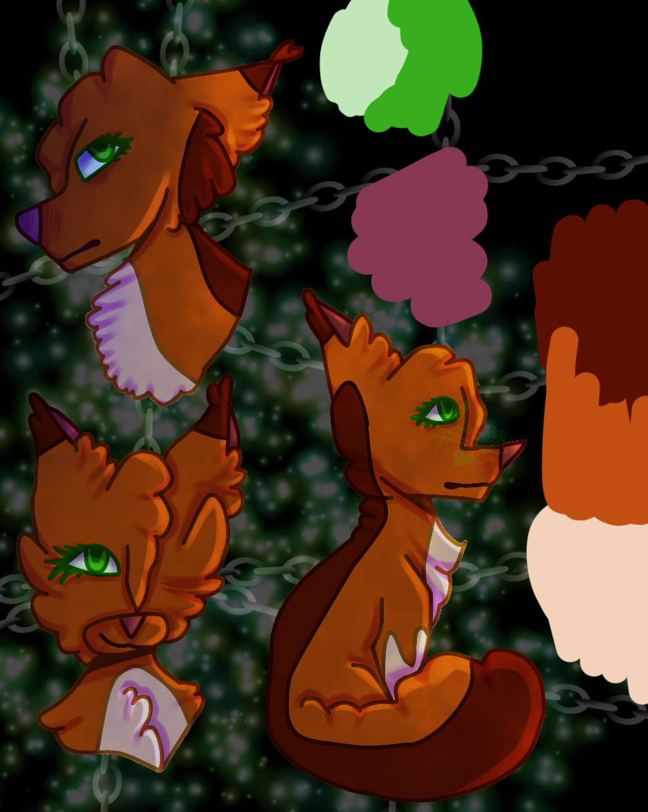 squirrelflight semi-ref - ibisPaint