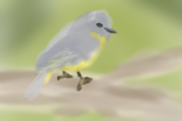 Bird - ibisPaint