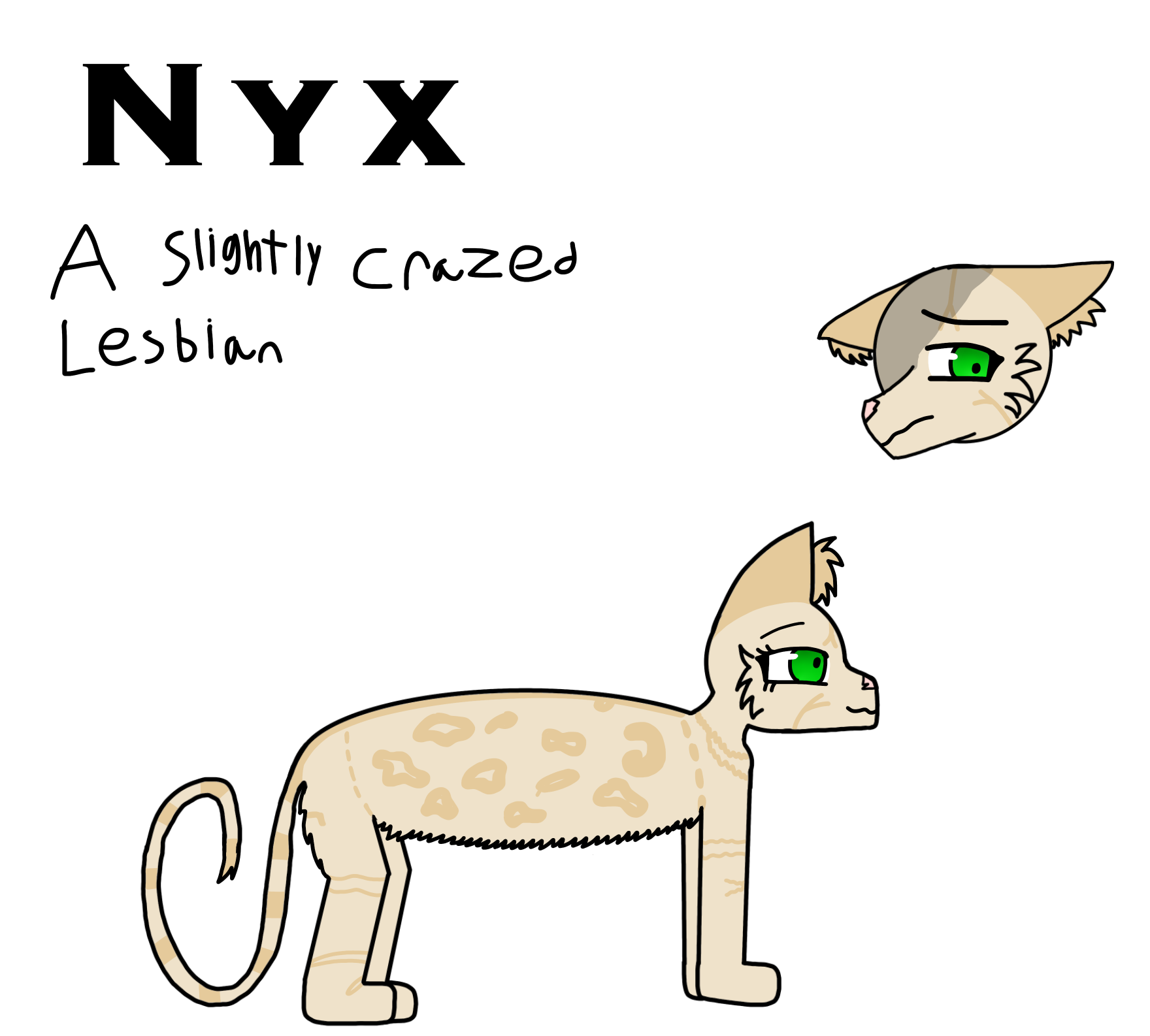 Nyx profile - ibisPaint