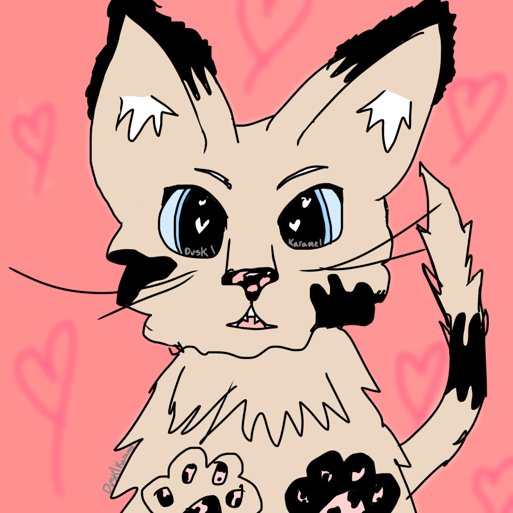 Cute siamese cat - ibisPaint