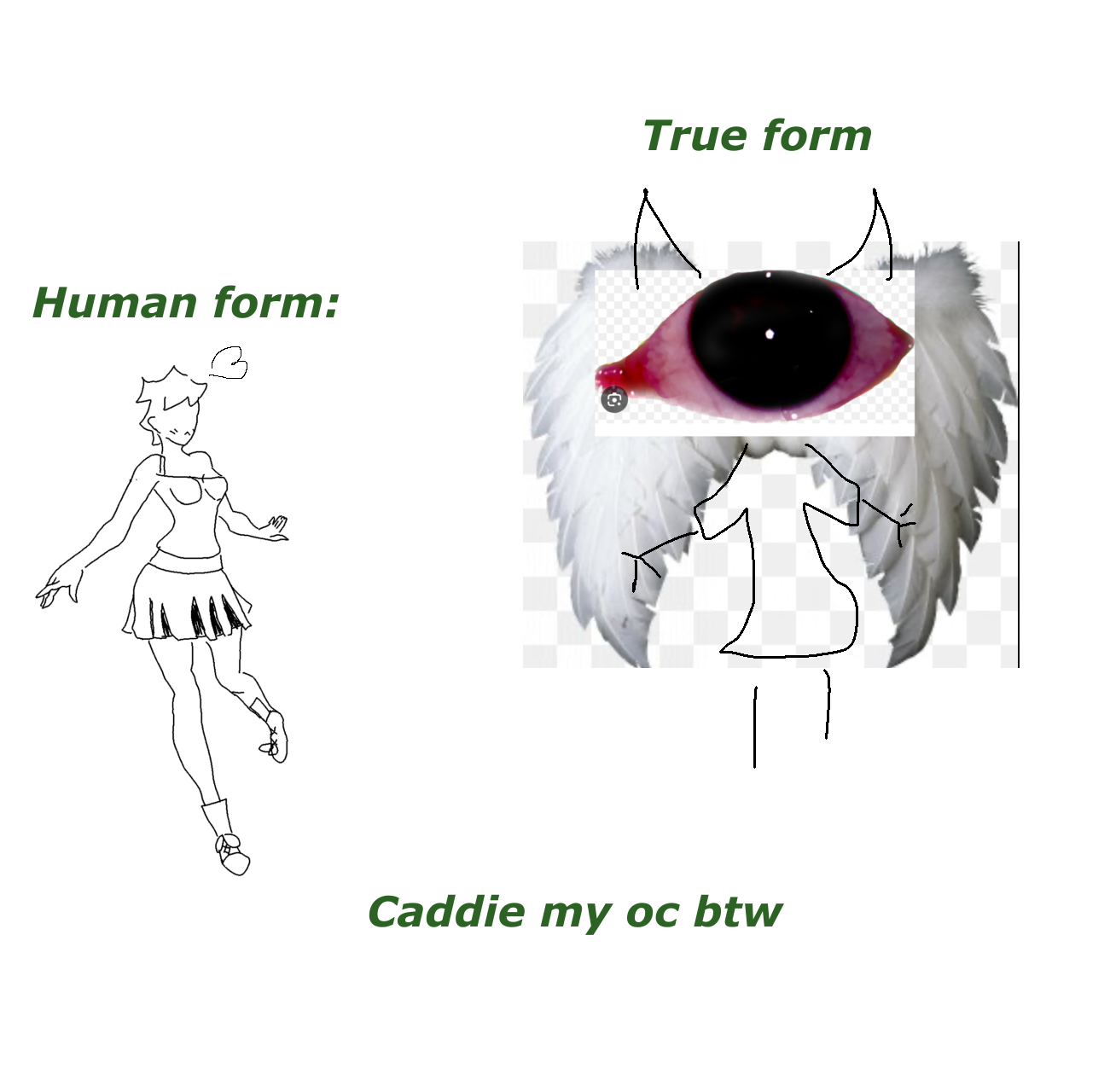 Untitled169 - ibisPaint