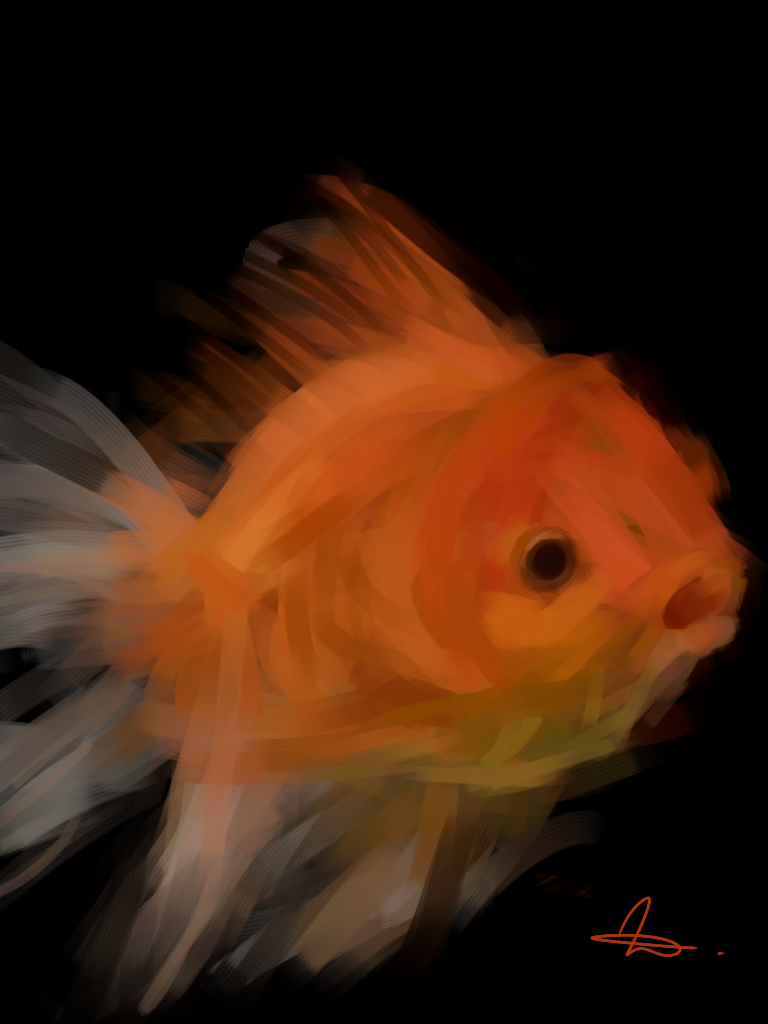 Goldfish - ibisPaint