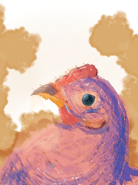 Chicken!! (Scratch) - ibisPaint