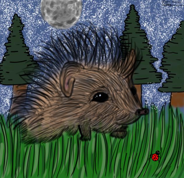 Hedgehog 🦔 - ibisPaint