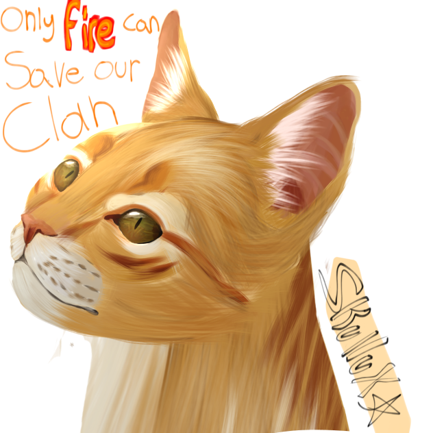 new realistic cat drawing. No.2 - ibisPaint