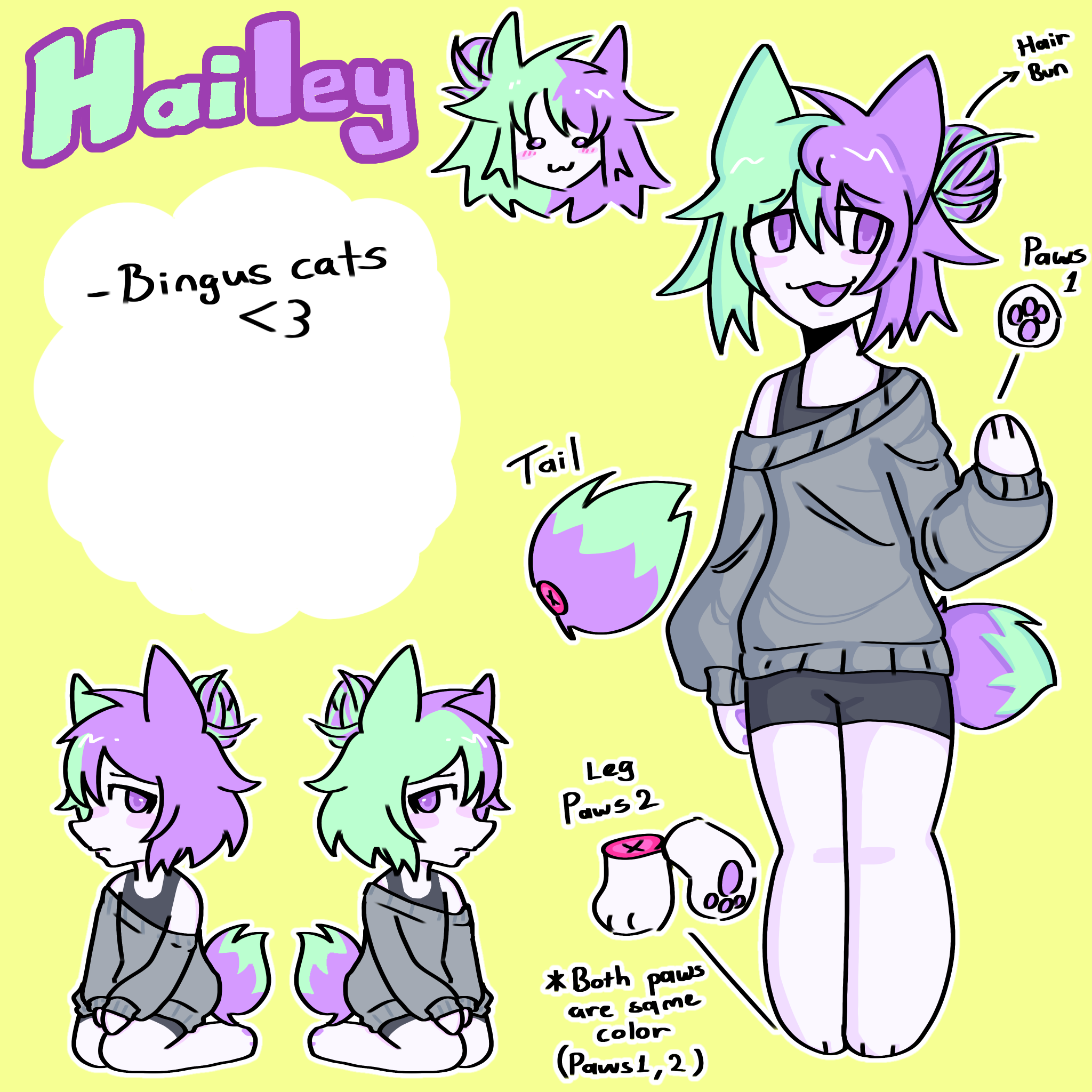 Hailey(Ref sheet) - ibisPaint