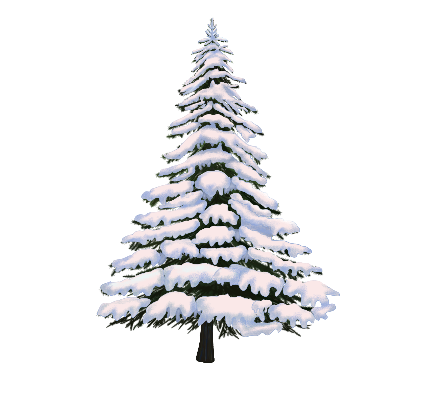 Pine tree with snow - ibisPaint