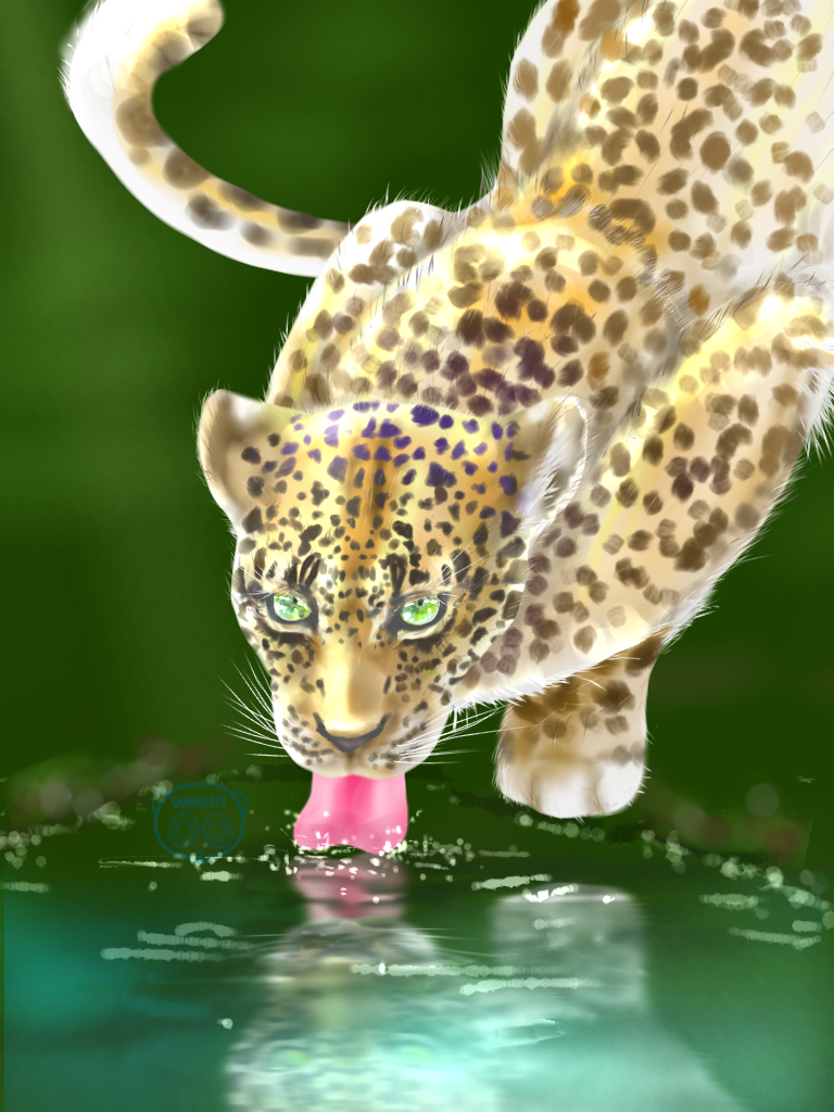 Leopard - ibisPaint