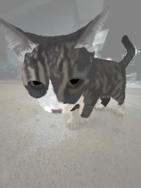 some random cat lol - ibisPaint