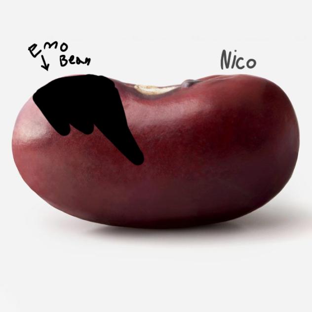 Nico the emo bean🫘 - ibisPaint